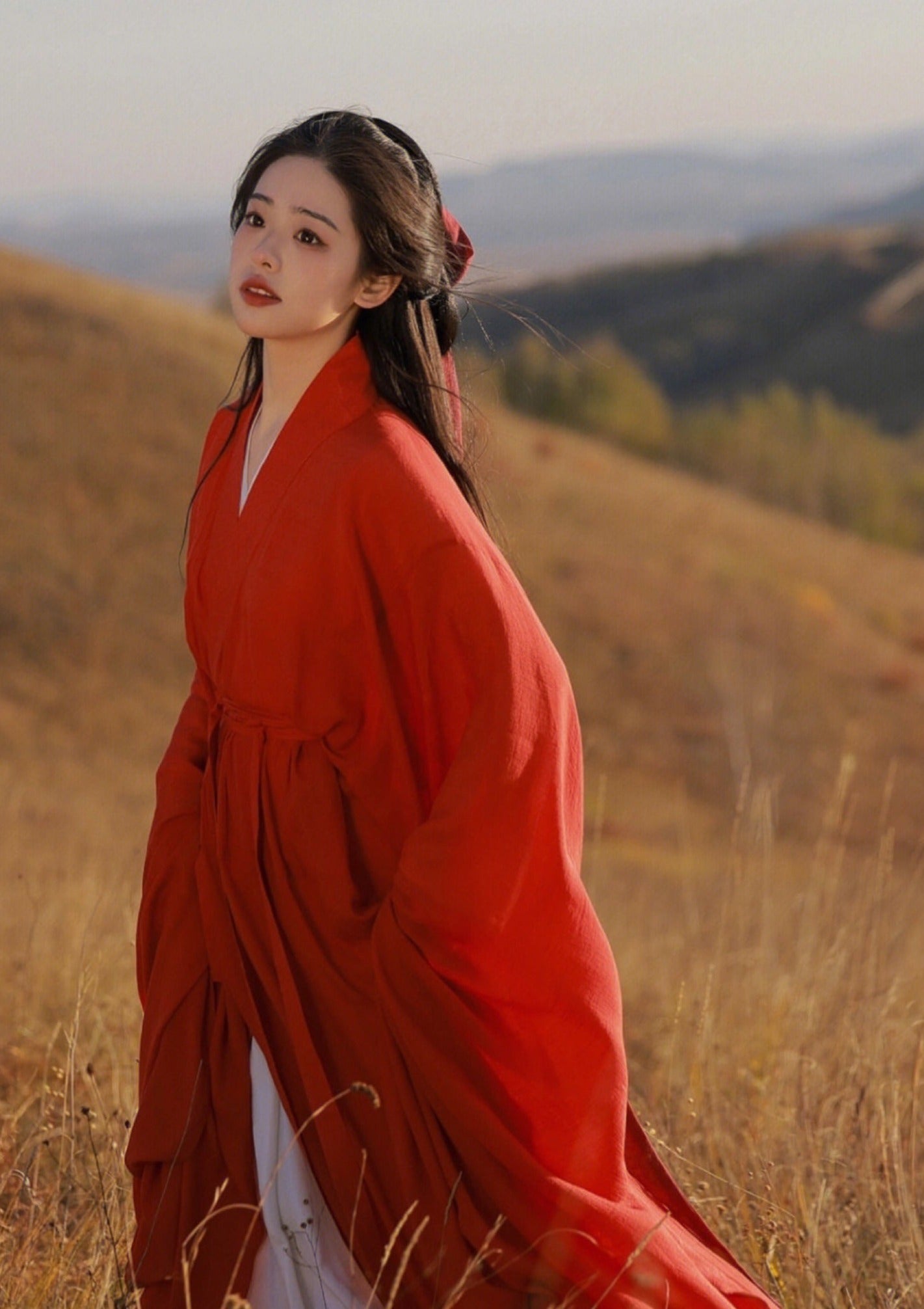 Missing Heart | 5 Colors Hanfu (戚戚忧思深) – NewMoonDance